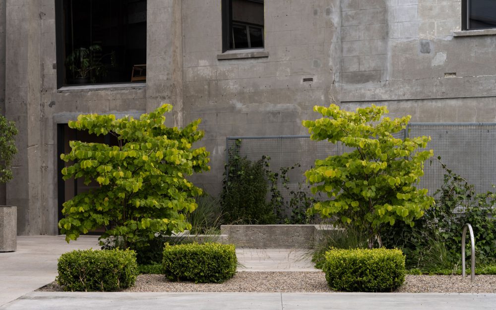 Porfolio – Jared Lockhart Design