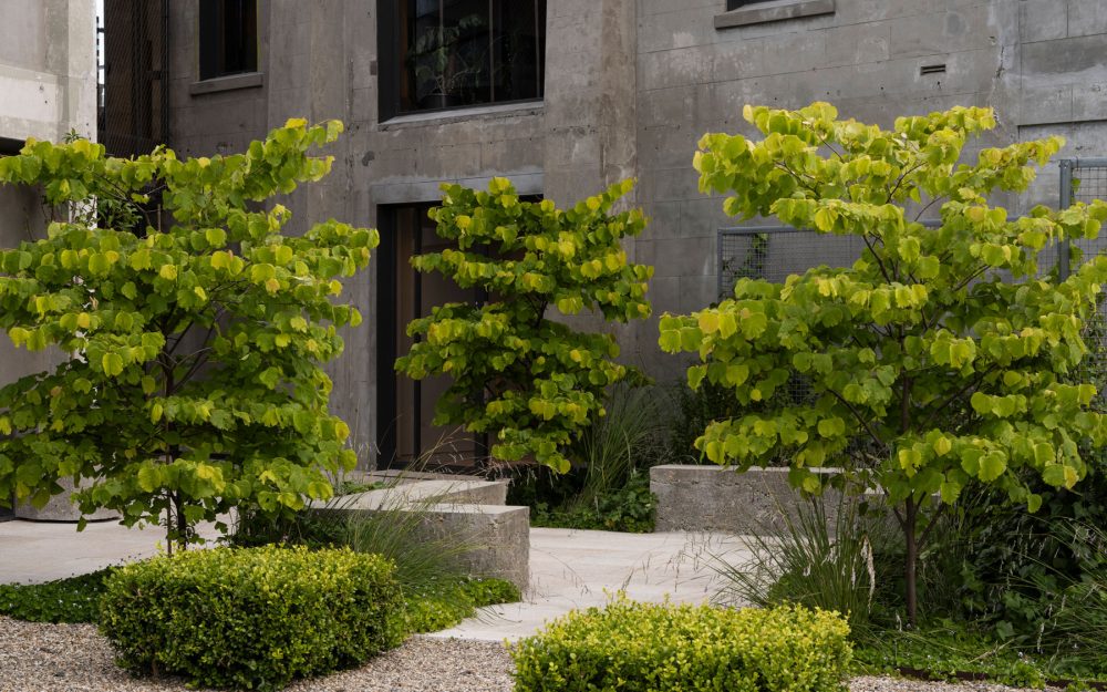 Porfolio – Jared Lockhart Design